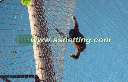 Monkey Enclosure Mesh - Buy monkey enclosure mesh, Monkey wire rope ...