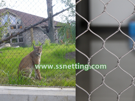 The effects of animal cages on animals and the choice of animal cage ...