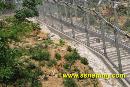 Zoo Mesh - Liulin Zoo Mesh Supplier