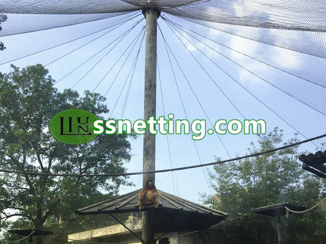 Monkey Exhibits Fence Mesh - Liulin Zoo Mesh Supplier