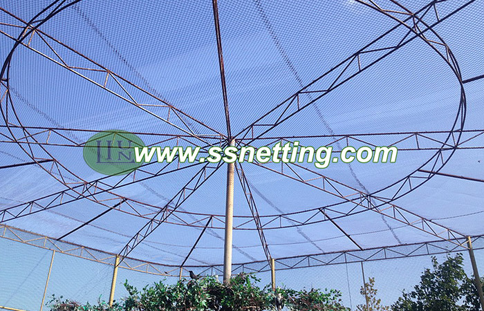Aviary Wire Netting - Buy aviary wire netting, zoo aviary mesh, wire ...